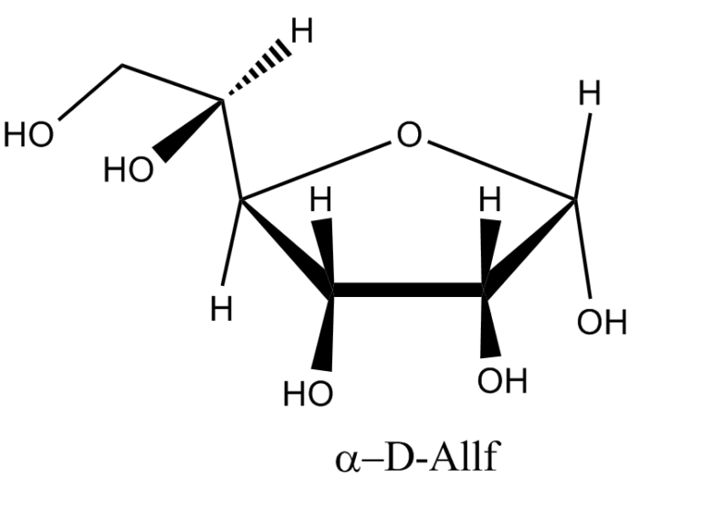 Hexoses - Glycopedia
