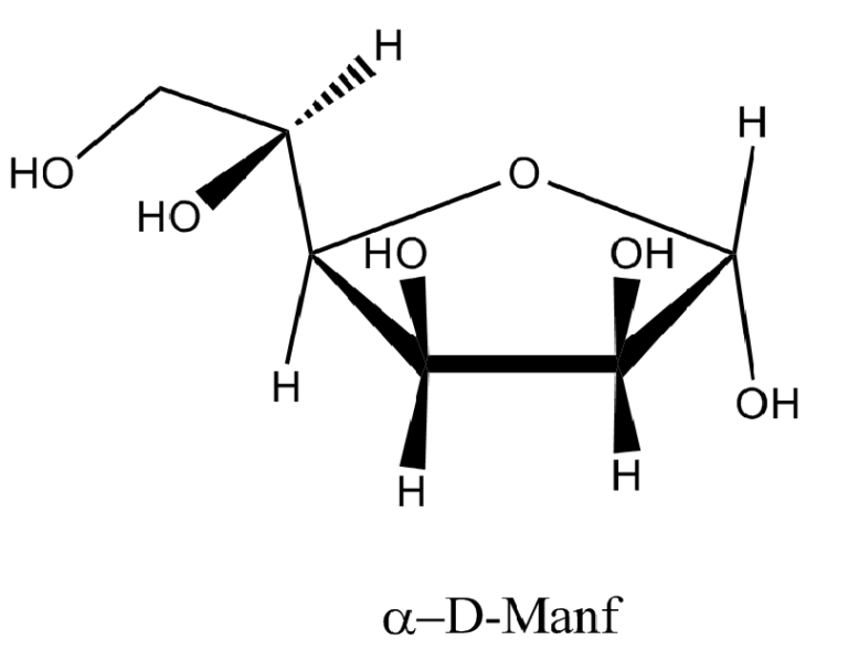 Hexoses - Glycopedia