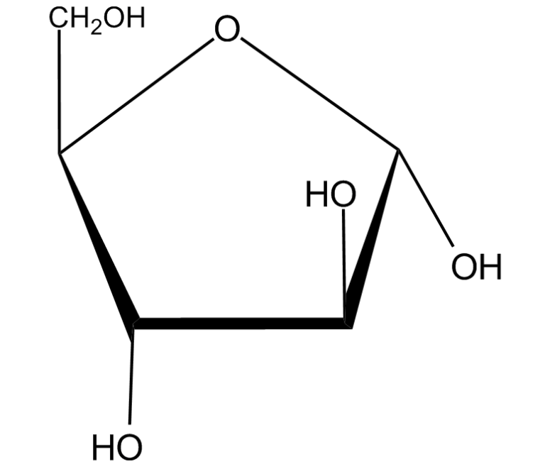Abequose ........ Arabinose - Glycopedia