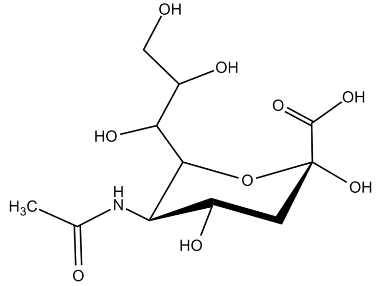 Neuraminic Acid... Xylose - Glycopedia