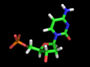 Nucleotide 3D Structures around the Conformational Wheel - Glycopedia