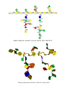 Cellulose, Pectins,..... - Glycopedia