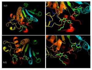 Glycosyltransferase, a short brief - Glycopedia