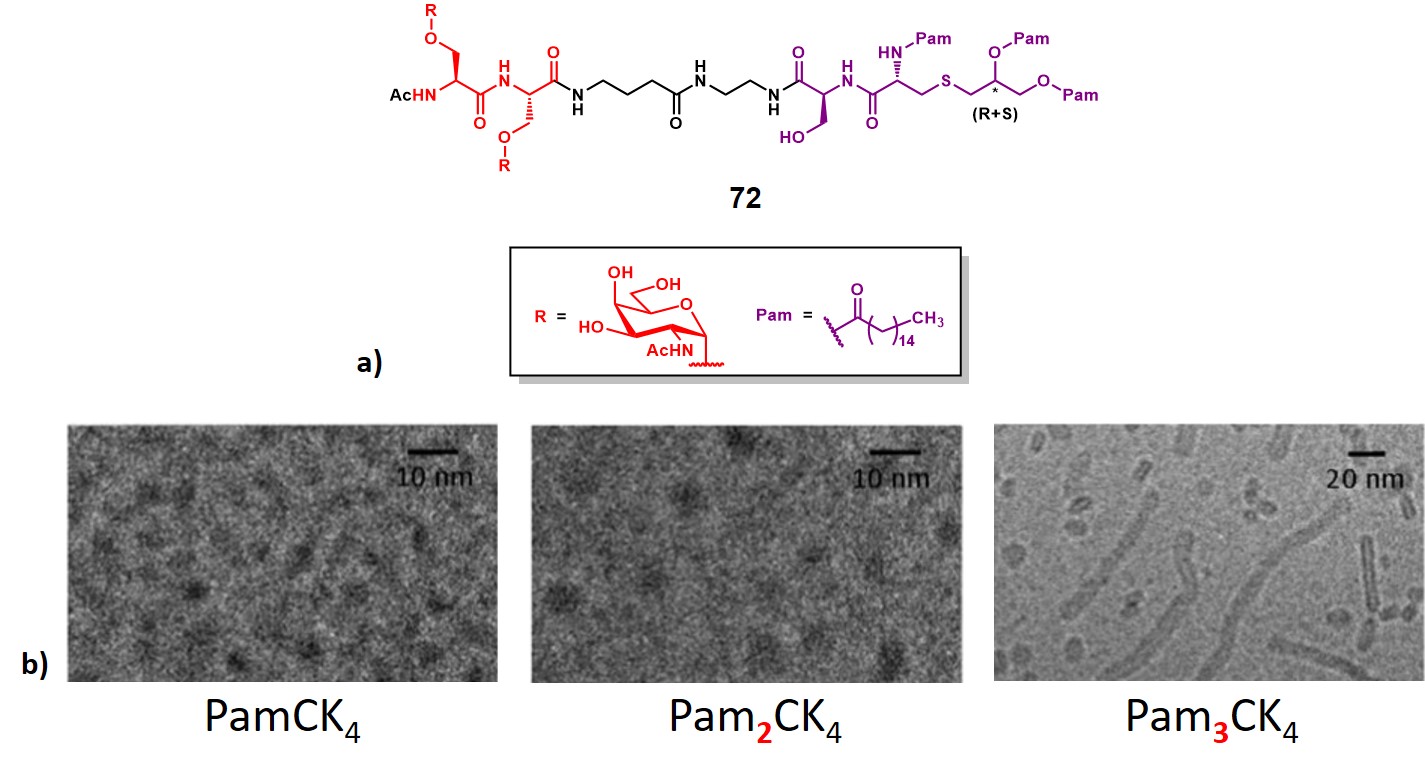 Two-component (TACA-lipopeptide), fully synthetic anti-cancer vaccines ...