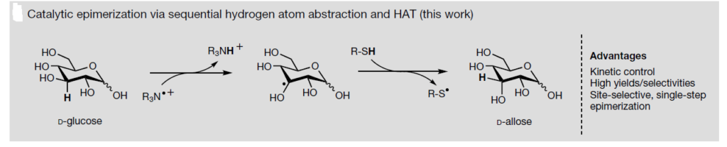 Synthesis of Rare Sugar Isomers through Site-selective Epimerization ...