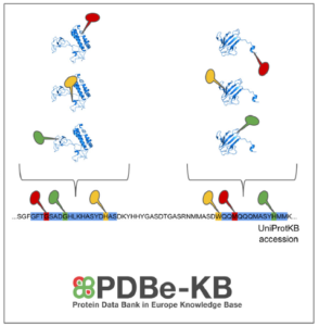 PDBe-KB: a Community-driven Resource for Structural and Functional ...