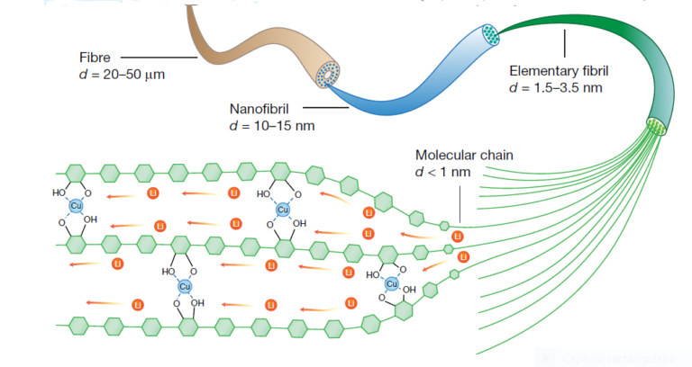 Copper-coordinated cellulose ion conductors for solid-state batteries ...