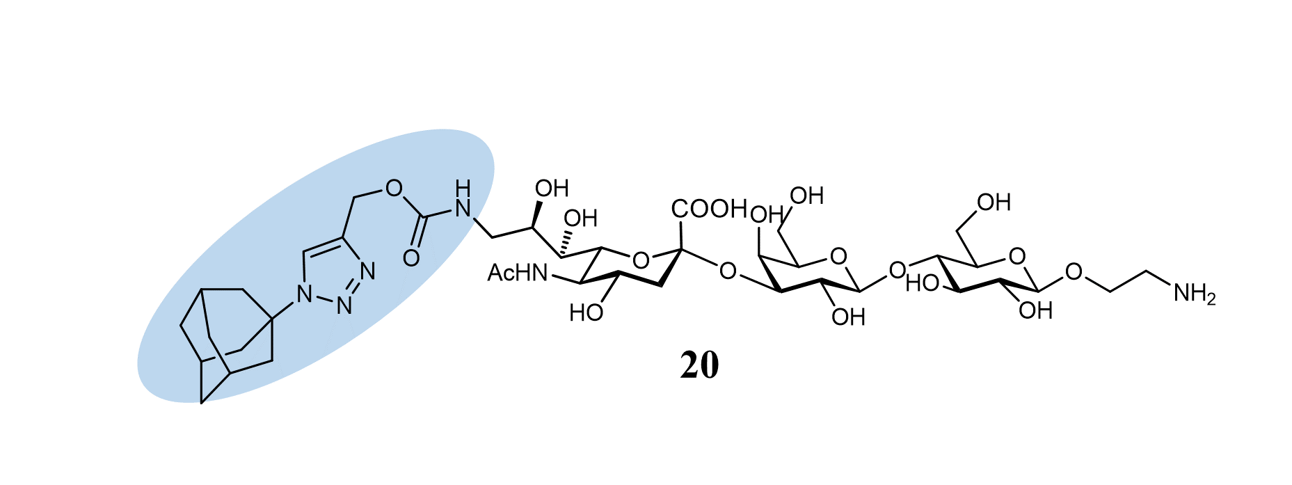 Siglec-10 - Glycopedia