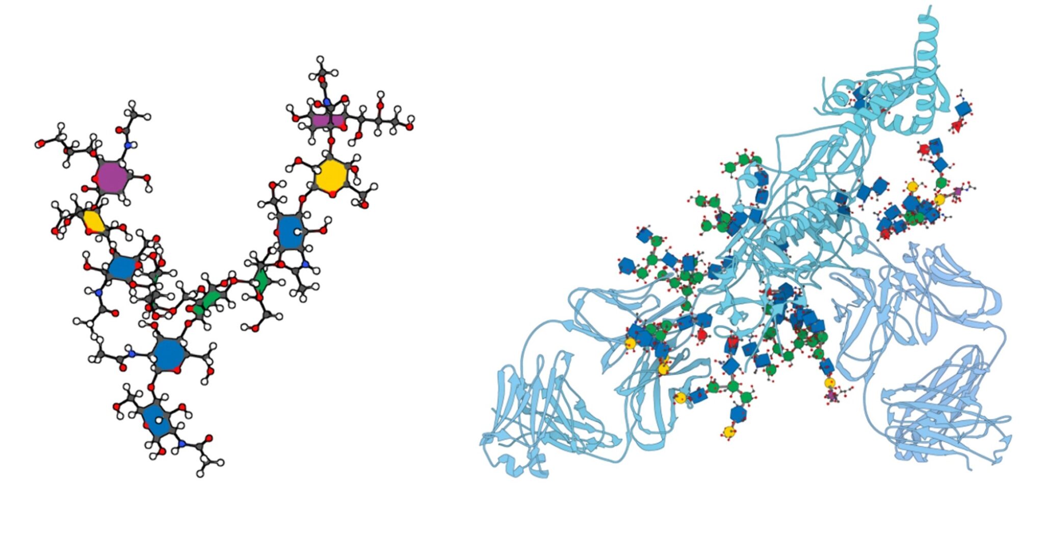 A Complete 3D Glycan Library for SAMSON Molecular Design - Glycopedia
