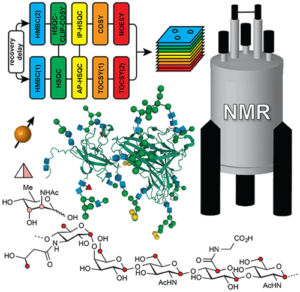 Primary Structure of Glycans by NMR Spectroscopy - Glycopedia