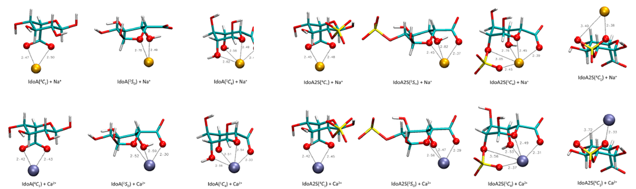 Exploring Ring Conformation in Uronate Monosaccharides - Glycopedia