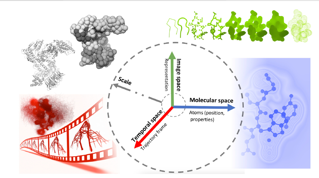 From Complex Data To Clear Insights Visualizing Molecular Dynamics