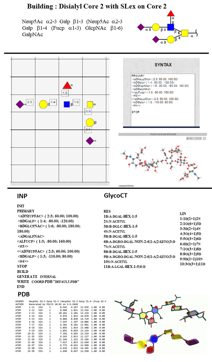 Polys Glycan Builder: An Online Application for Intuitive Construction ...