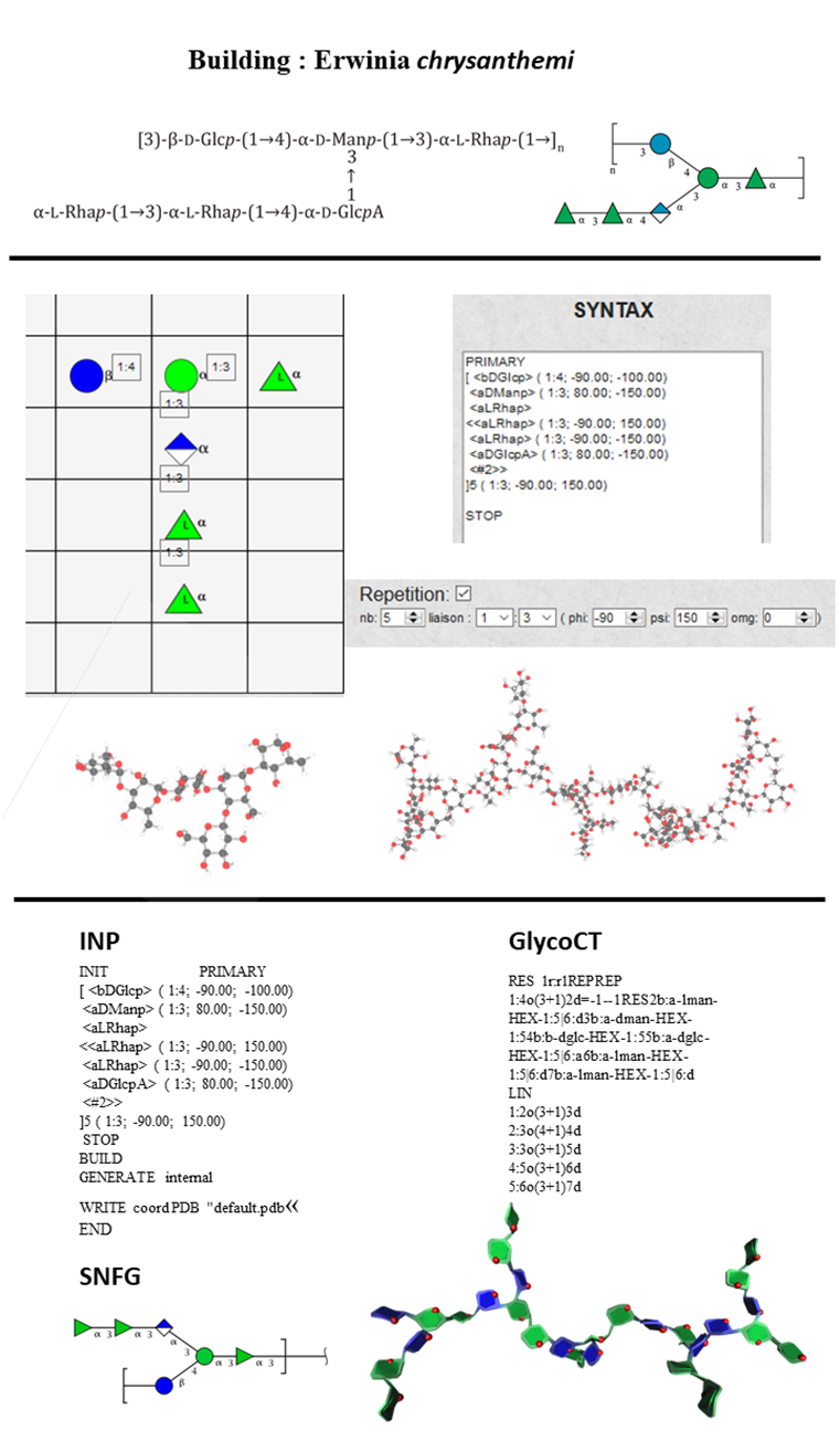 Polys Glycan Builder: An Online Application for Intuitive Construction of 3D Structures of ...