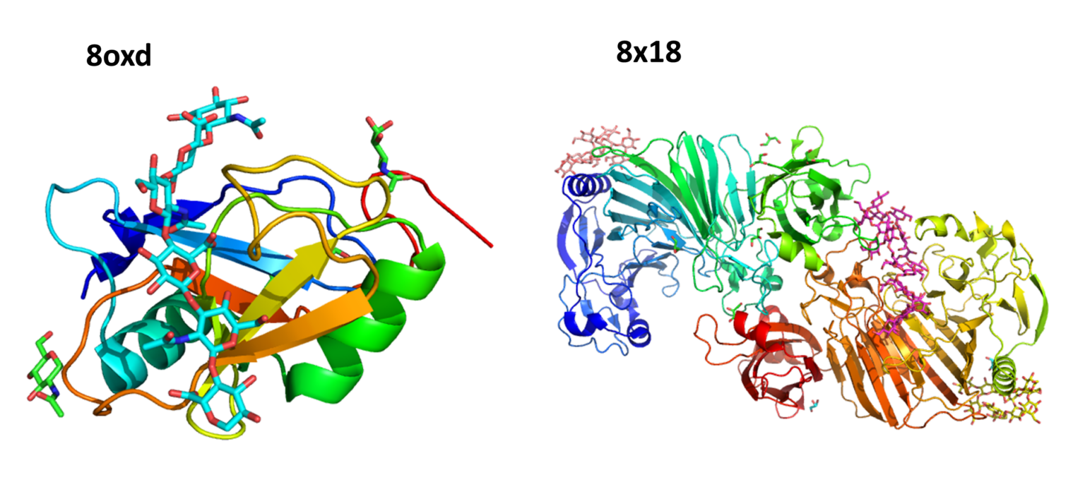 Protein-Carbohydrate Interfaces. PDB depositions: November_2024 ...