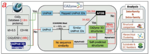 CAZyme3D: a database of 3D structures for carbohydrate-active enzymes ...