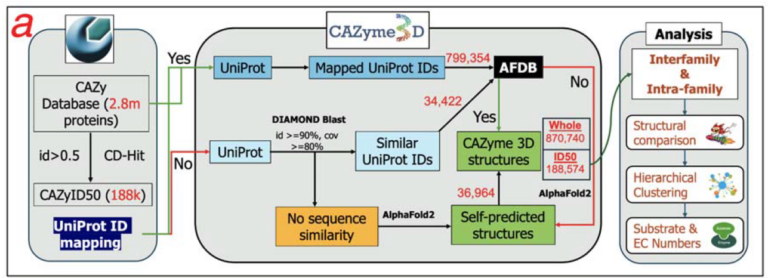 CAZyme3D: a database of 3D structures for carbohydrate-active enzymes ...