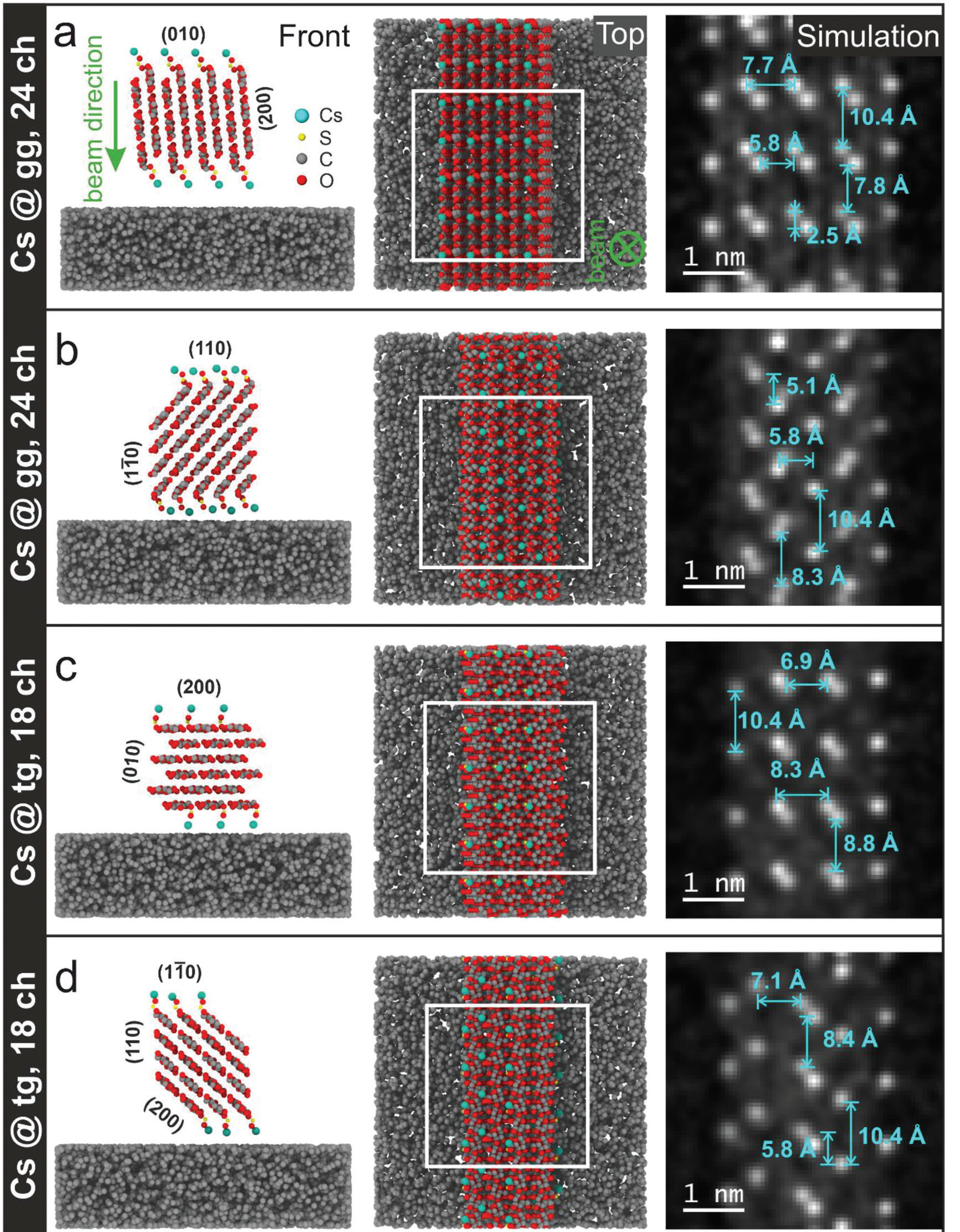 Visualization of Cellulose Structures with Cesium Labeling and Cryo ...